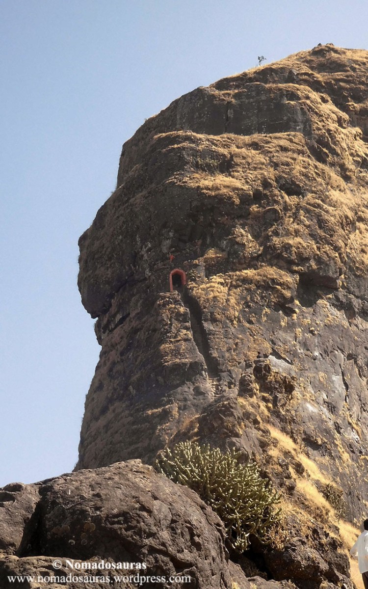 Trek to Harihar! – NomadoSauras