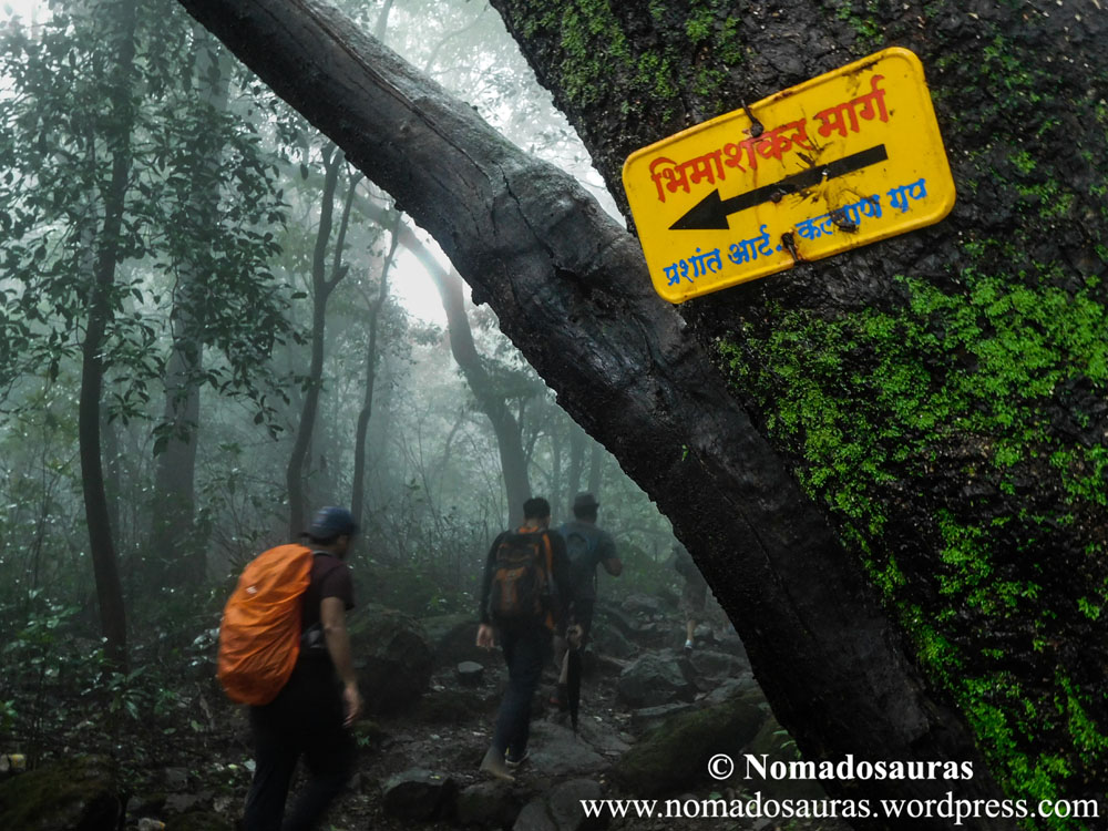 Bhimashankar Trek Part I: via Shidi Ghat! – A Season Of Mountains