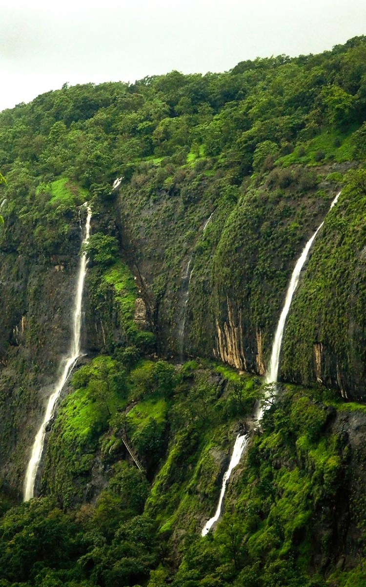 Bhimashankar Trek Part II: Descent via Ganesh Ghat! – NomadoSauras